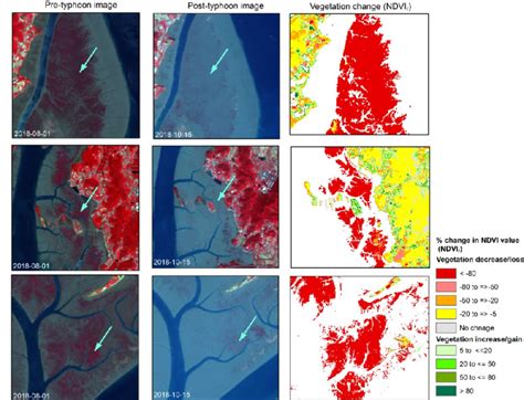 Sentinel 2 Msi Standard False Color Composite Images Before And After