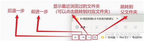 2 1文件 Windows文件资源管理器的基本用法 知乎