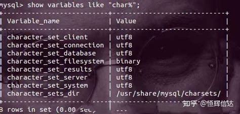 Mysql解决中文乱码 知乎