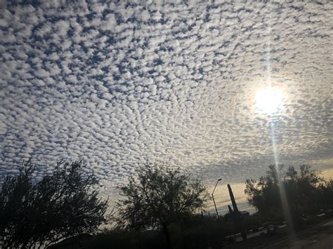 On 5 Tabs When Simulation Stops Working And You End Up In Other Dimension Rlsd