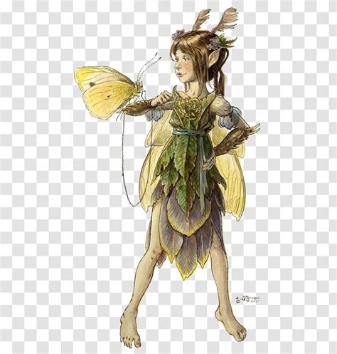 The Field Guide Spiderwick Chronicles Lucindas Secret Fairy Elf