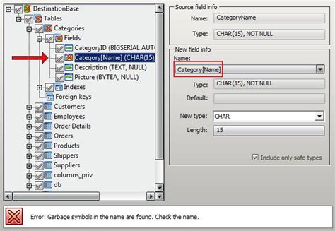 Autodetection Of Potential Migration Issues Errors And Warnings DBConvert