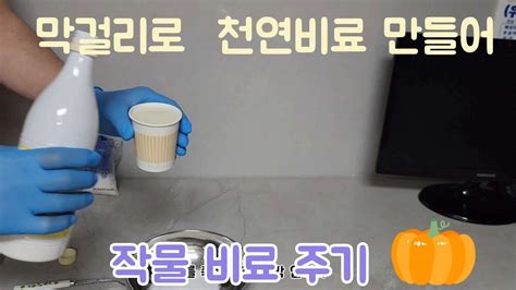 천연 막걸리 비료 만들기 Youtube