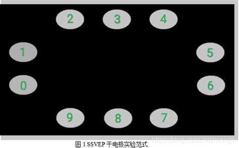 ssvep干电极介绍及其分类算法研究 干电极调研 bciduino脑机接口社区的博客 csdn博客