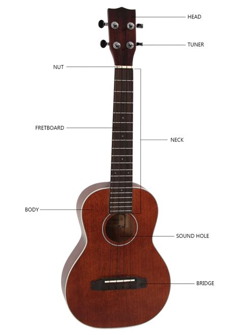 Baritone Ukulele Parts