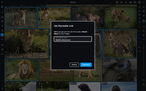create a shareable link mylio photos version 24 3