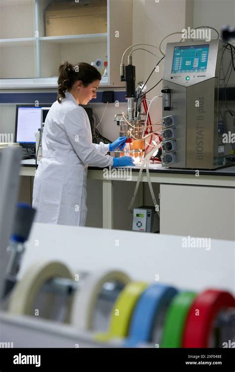 Researcher Taking A Sample Of Carotenoid Producing Yeast Obtained By