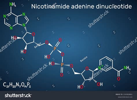 Nicotinamide Structure