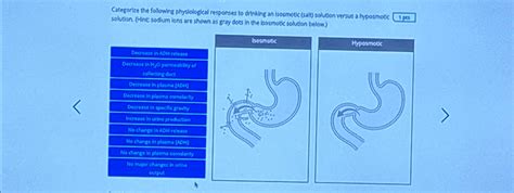 Solved Categorize The Following Physiological Responses To