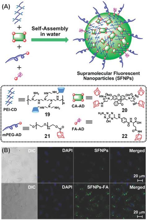 A Schematic Illustration Of Supramolecular Fluorescent Nanoparticles Download Scientific