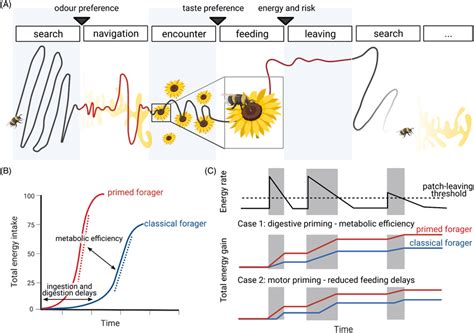 Foraging Decisions Are Altered When A Forager Is Primed By Odor