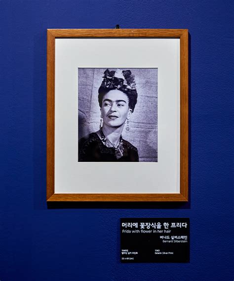 가장 어두운 순간 발견한 행복 프리다 칼로 사진전