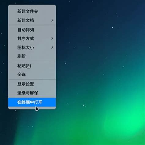 【统信uos使用介绍】终端功能如何使用 统信uos统一操作系统之家