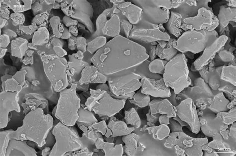 Application Of Field Emission Scanning Electron Microscope In Lithium