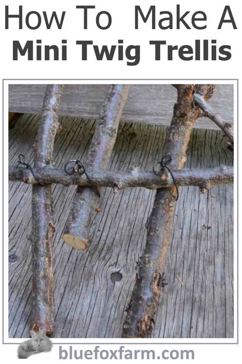 How To Make A Mini Twig Trellis Out Of Readily Available Materials