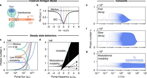 230909863 Driven Dissipative Phases And Dynamics In Non Markovian Nonlinear Photonics