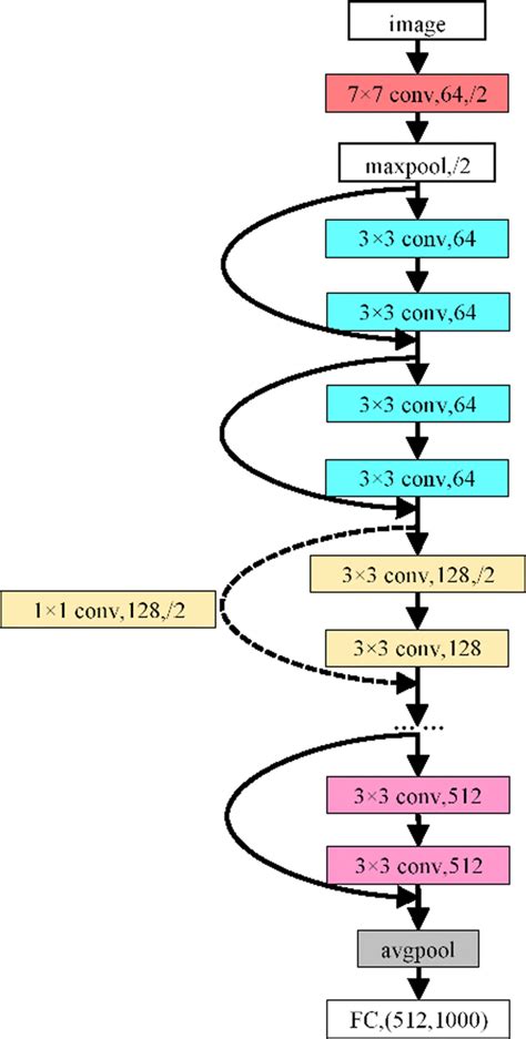 a partial structure of a 34 layer resnet network download scientific
