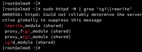 Cómo Instalar Nagios Core Monitoring En Almalinux 9 Howtoforge