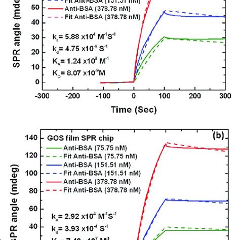 Sensorgram Of Immobilization Of Bsa 100 μg Ml On Sensor Chip In Real