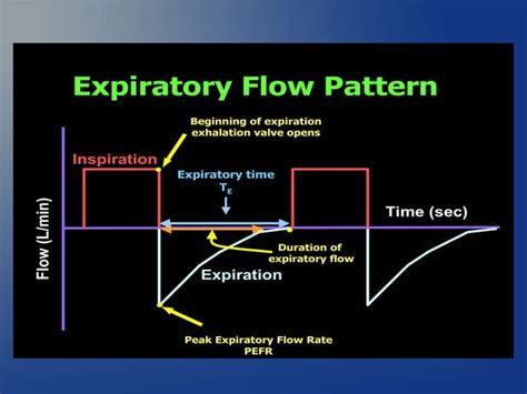 Ventilator Waveforms Dr Sanjay Chugh Pptx Lung And Respiratory Health Diseases And Conditions