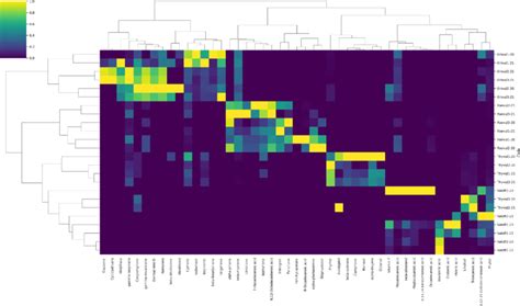 Clustergram And Heatmap Of Metabolites Detected By Gc Ms Visualization