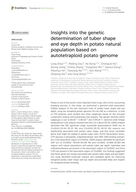 Pdf Insights Into The Genetic Determination Of Tuber Shape And Eye