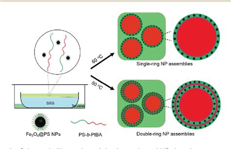 Figure 1 From Circular Assembly Of Colloidal Nanoparticles At The