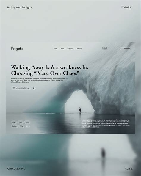 Penguin Website Landing Pages By Brainy Webdesigns On Dribbble