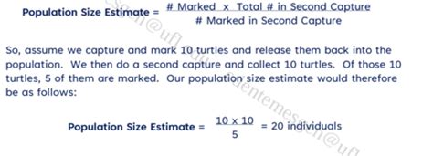 Population Ecology Flashcards Quizlet
