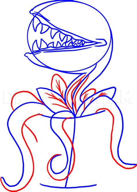 How To Draw A Venus Flytrap Drawing Step By Step By Dawn Dragoart