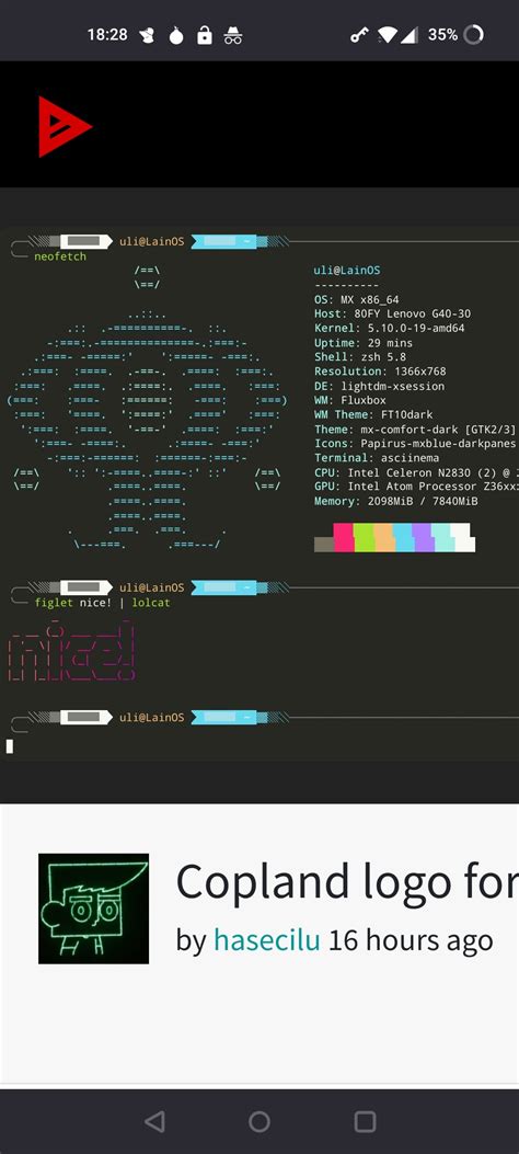 We Have Decided On Our Neofetch Rlainosdevelopers