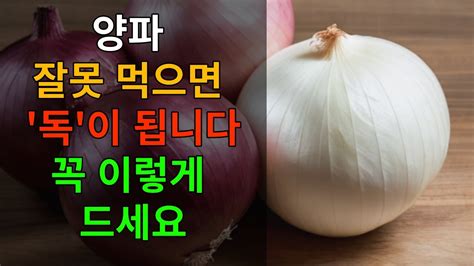 양파 잘못 먹으면 독이 됩니다 꼭 이렇게 드세요 ㅣ양파와 최고최악의 궁합 Youtube