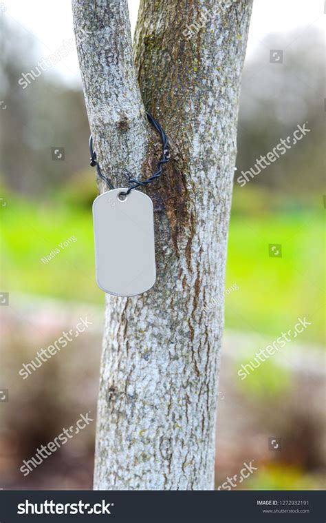 Tree Name Label Images Stock Photos Vectors Shutterstock