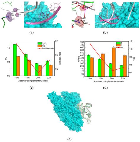 The Development Of Aptamer Based Gold Nanoparticle Lateral Flow Test Strips For The Detection Of