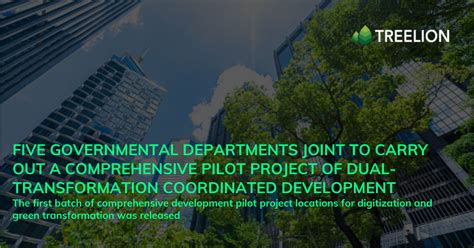 Five Governmental Departments Joint To Carry Out A Comprehensive Pilot
