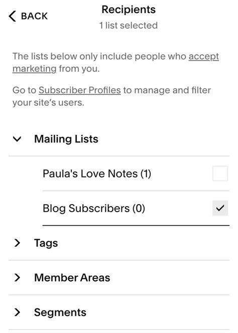 How To Add A Blog Subscription In Squarespace In 5 Easy Steps — Kerstin Martin・design Business