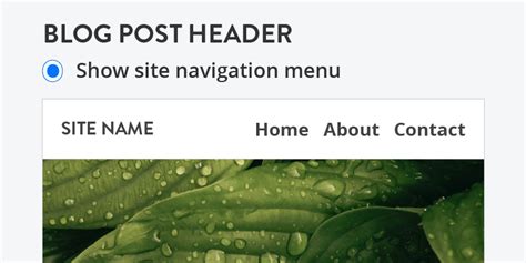 Show Site Menu On Blog Post Page Building Your Website Strikingly