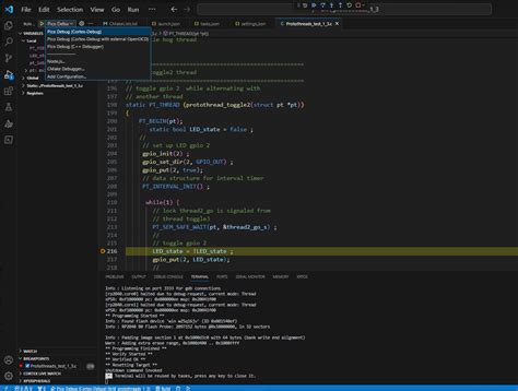 RP2040 VS Setup