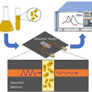 Abstract A4 Schematic Of The Microwave Microfluidic Sensor The Download Scientific Diagram
