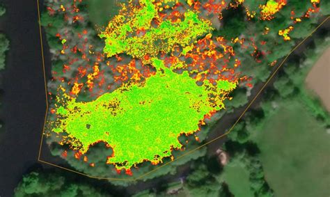 Invasive Species Mapping — Droneflight