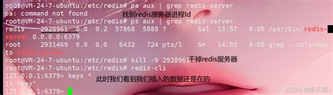 redis持久化 redis重启后数据会丢失吗 csdn博客
