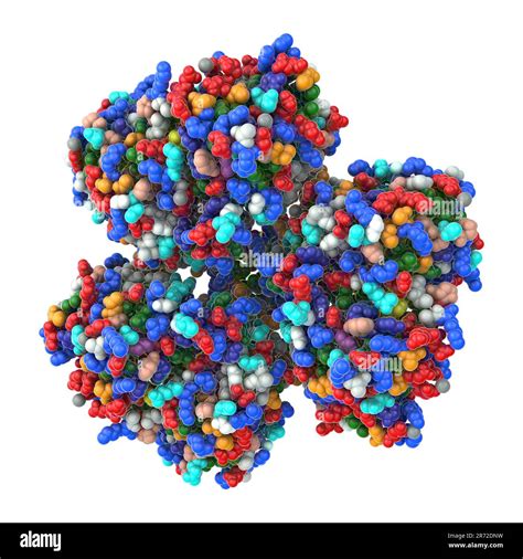 Molecule Of Huntingtin Protein The Protein Coded For By The Htt Gene