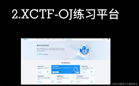 探索网络安全学习平台：从初级工具到高级挑战 Csdn博客