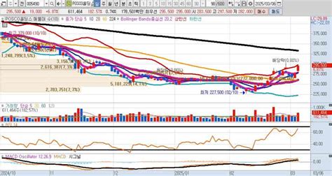 Posco홀딩스 주가전망 목표주가 분석 2차전지 사업 성장 Money Infor