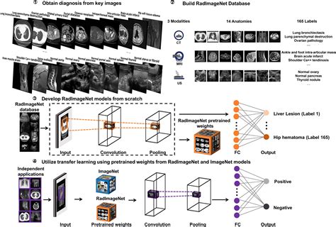 Radimagenet An Open Radiologic Deep Learning Research Dataset For