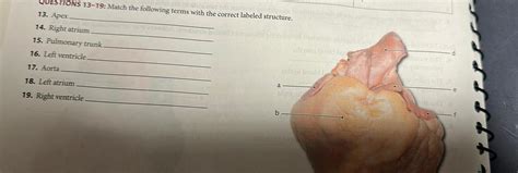 [answered] Questions 13 19 Match The Following Terms With The Correct Kunduz