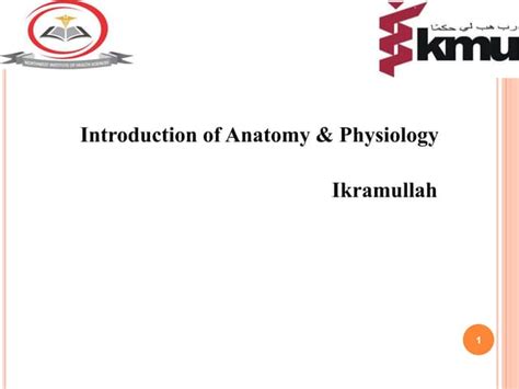 Chapter 1ppt Lung And Respiratory Health Diseases And Conditions