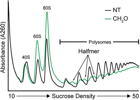 Polysome Profiling Is An Extensible Tool For The Analysis Of Bulk Polysome Profiling Is An Extensible Tool For The Analysis Of Bulk