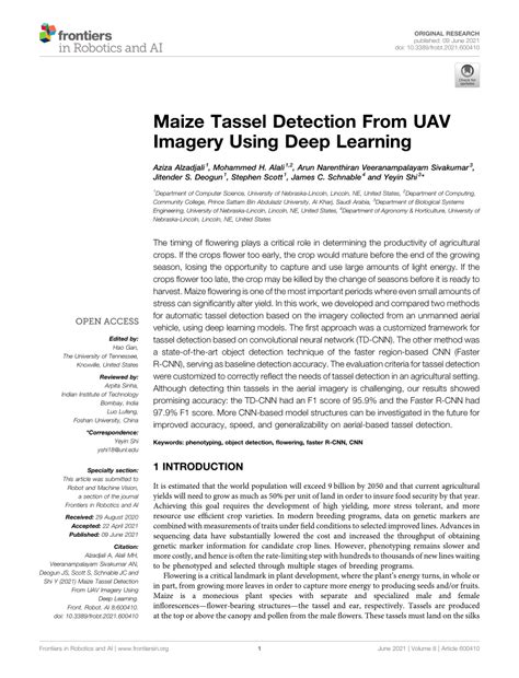 Pdf Maize Tassel Detection From Uav Imagery Using Deep Learning