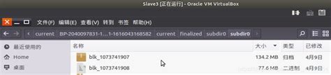 hadoop中hdfs的文件到底存储在集群节点本地文件系统哪里 hdfs文件具体放在哪里了 csdn博客